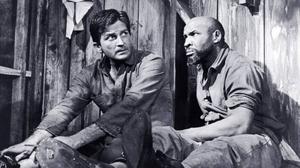 Robert Knapp profile | Celebrity Websites